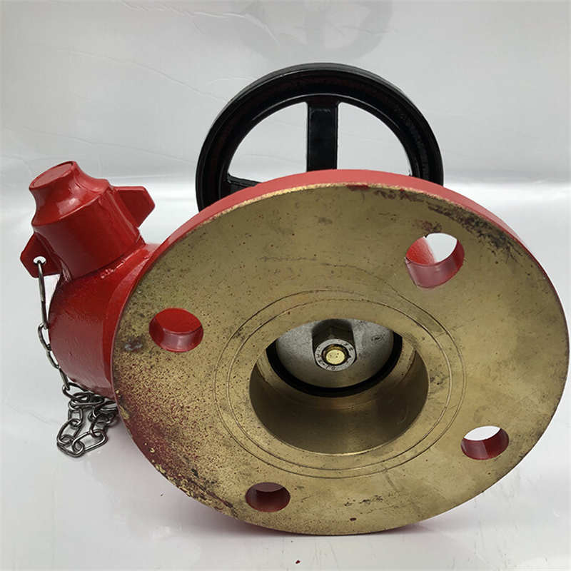 2.5”Flanged Oblique Landing Valve – ANT Fire Equipments