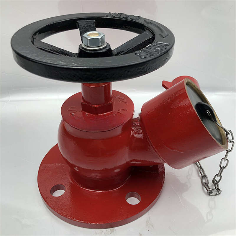 2.5”Flanged Oblique Landing Valve – ANT Fire Equipments